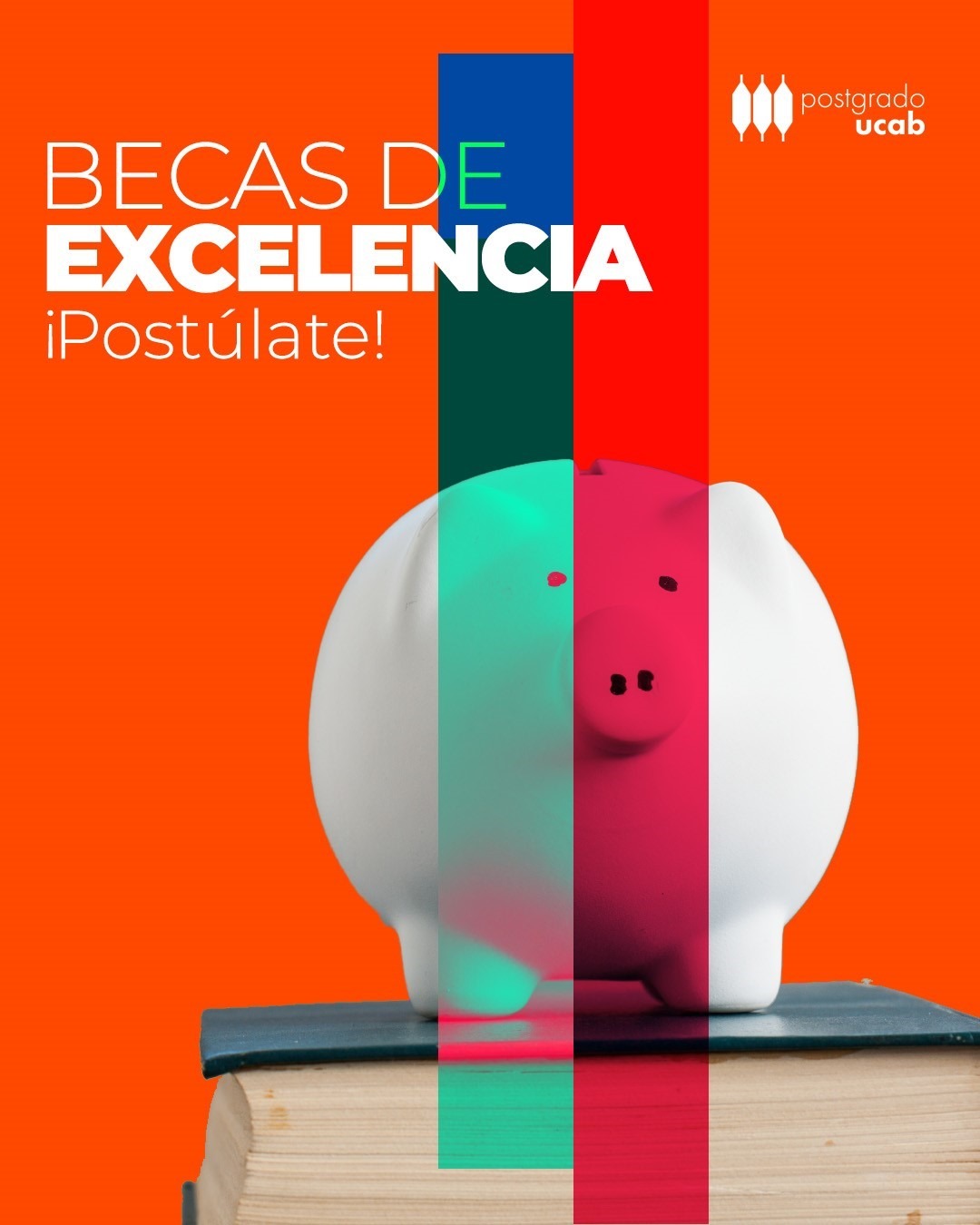 Becas de excelencia | Egresados